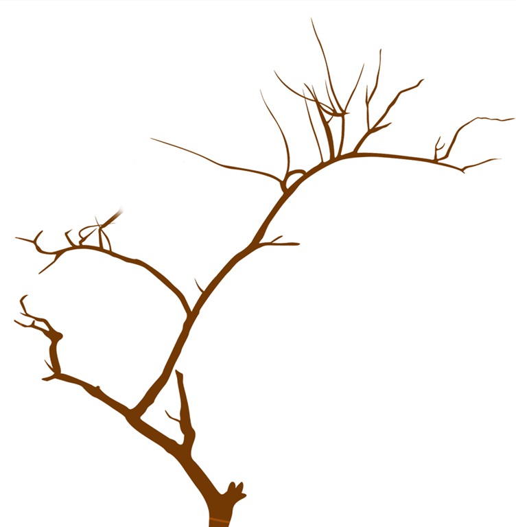 Inanimate Alice | Education Services Australia | Digital Assets